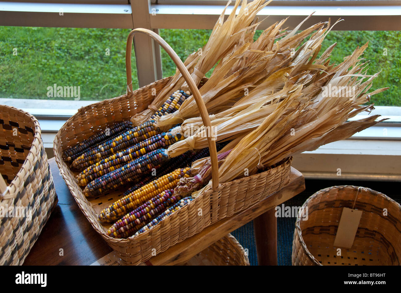 Handicraft cane baskets and variegated maize corn (Indian corn ...
