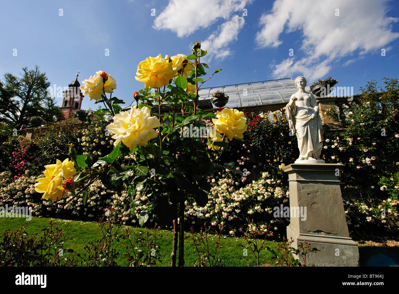 Roses garden statues hi-res stock photography and images - Alamy