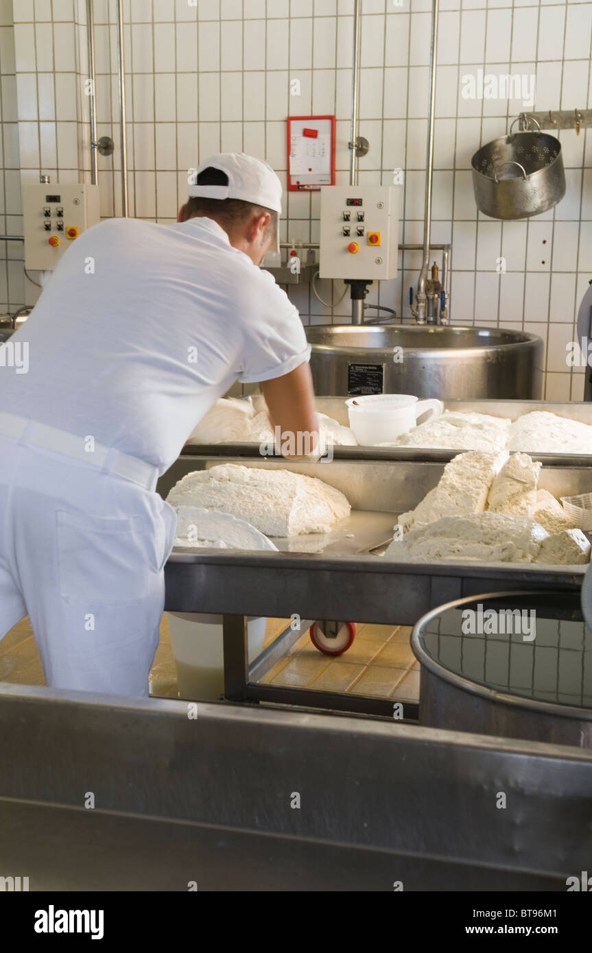 Production of Buffalo Mozzarella, Mozzarella di Bufala, made by hand ...