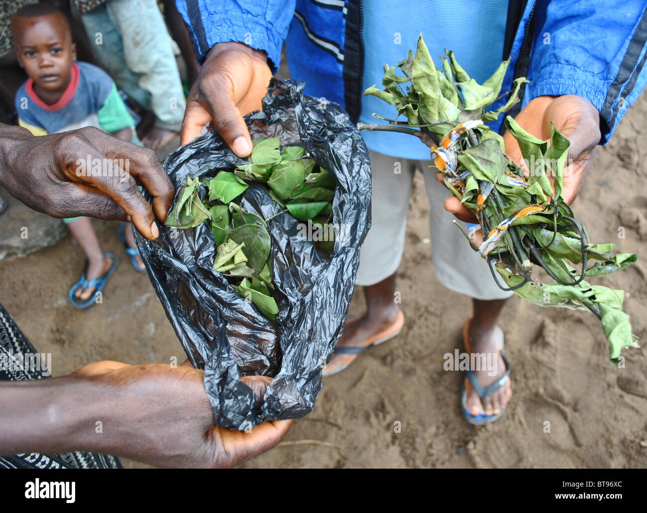 West africa traditional medicine hi-res stock photography and images ...