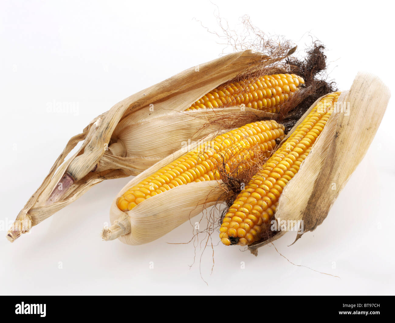 Three dried corn cobs in leaves Stock Photo - Alamy