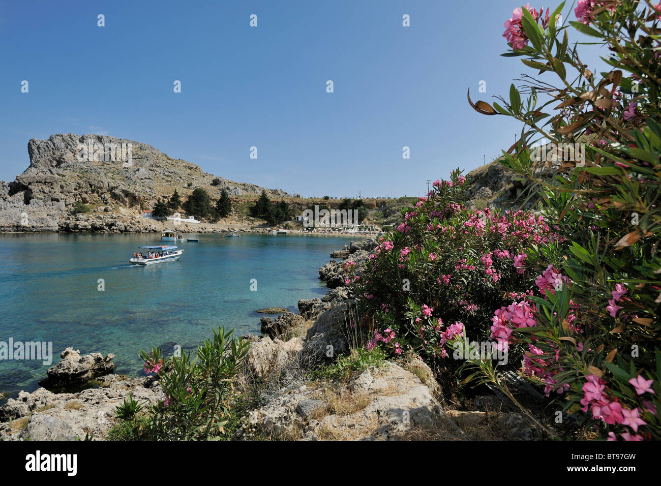 Rhododendrons in Apostle Paul's Bay, Agios Pavlos Bay, Lindos, Rhodes, Greece, Europe Stock ...