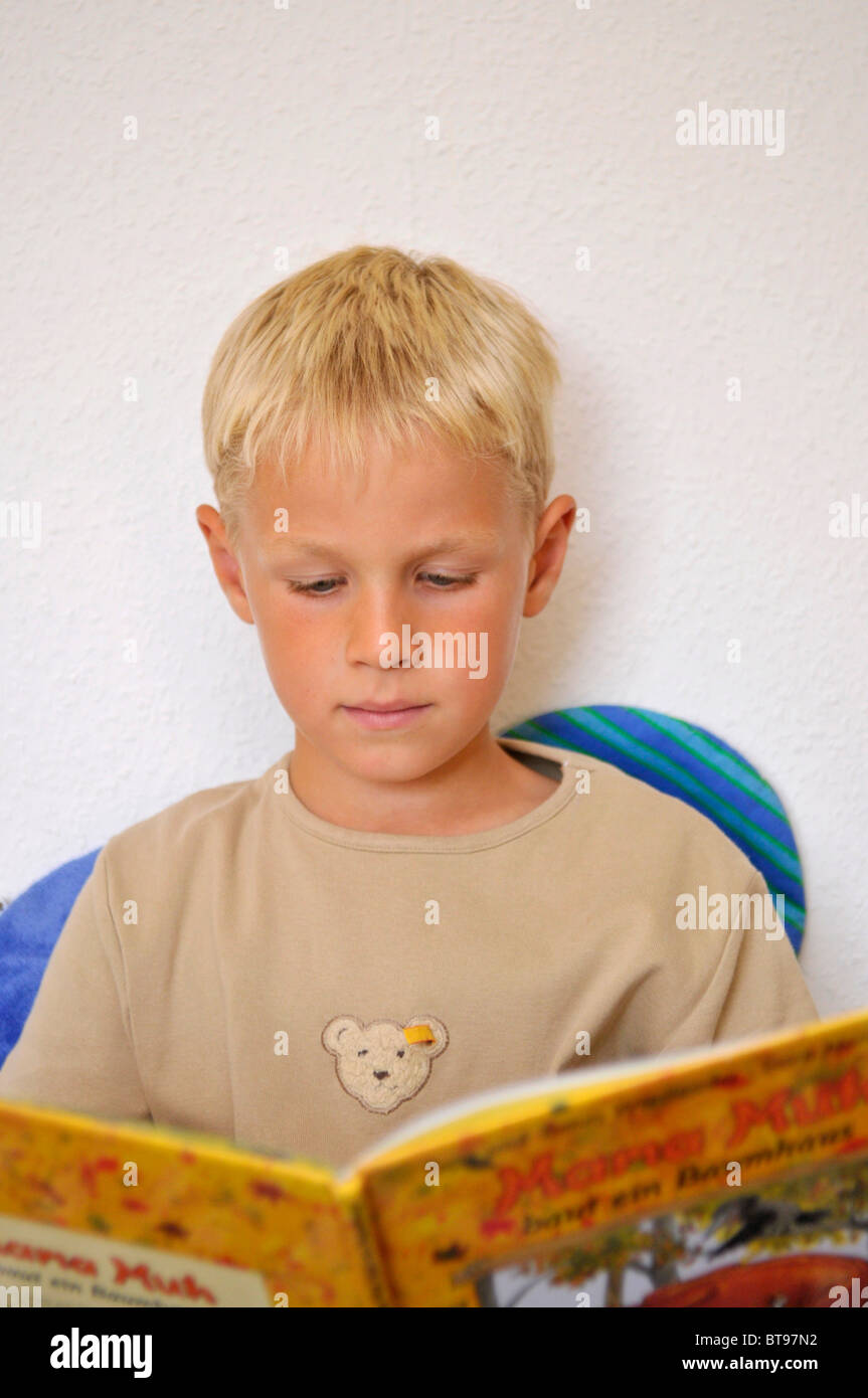 Small boy looking at a book Stock Photo - Alamy