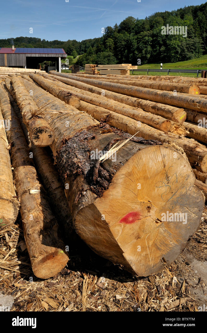 Peeled logs hi-res stock photography and images - Alamy