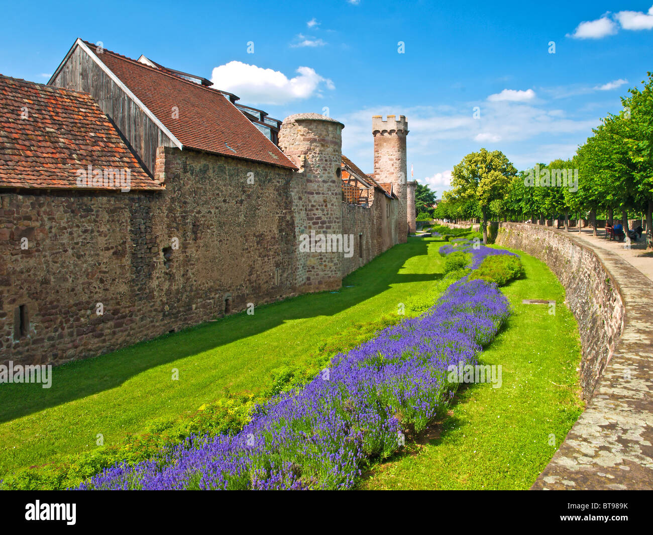 Medieval ring wall hi-res stock photography and images - Alamy