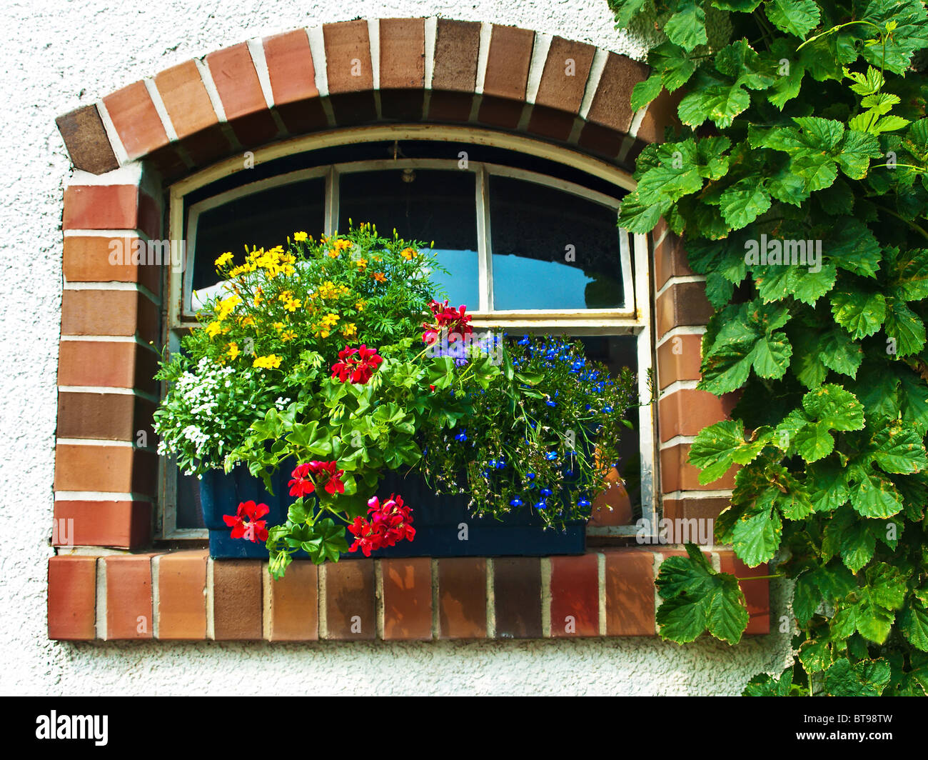 nostalgic window with flowers Stock Photo - Alamy