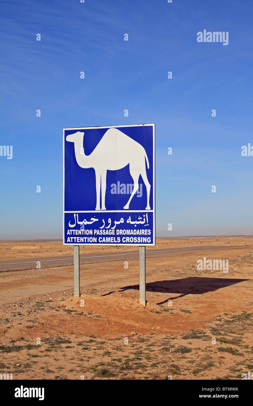 "Camels crossing" warning sign. Near Tozeur, Sahara Desert, western ...