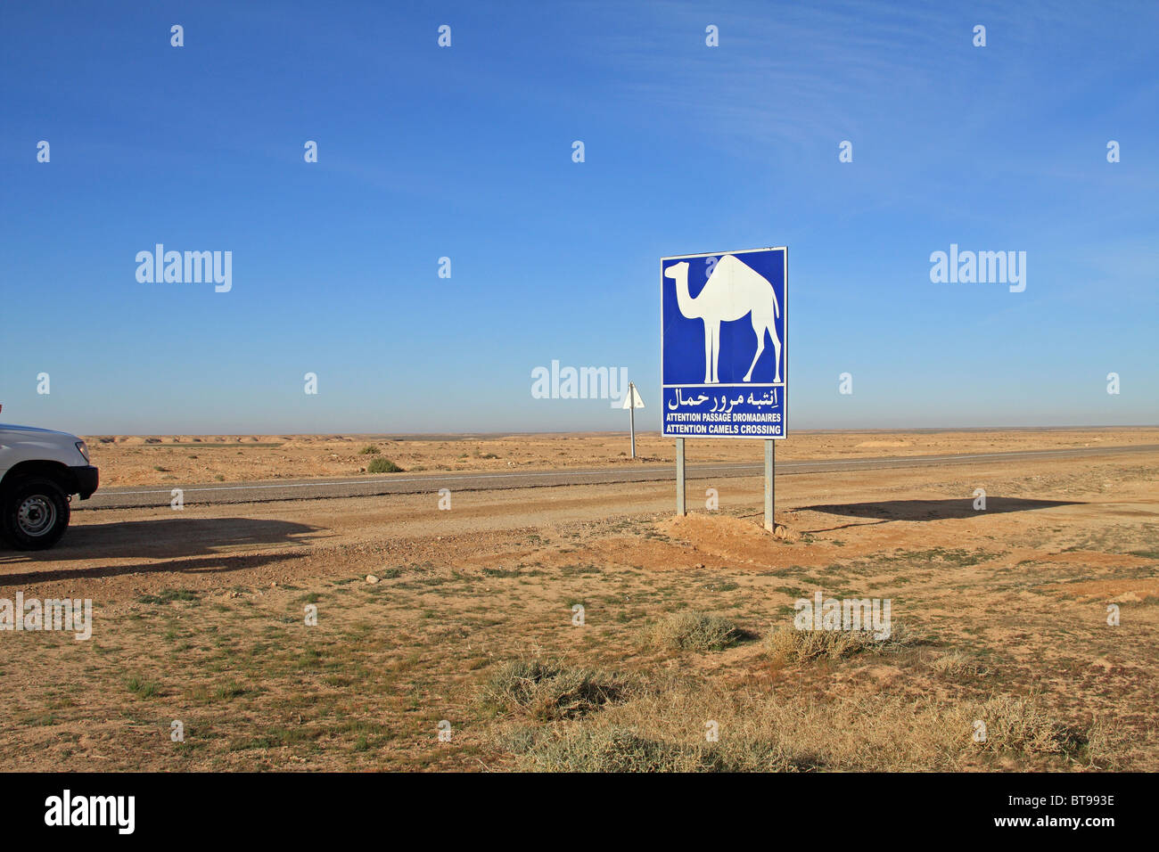 "Camels crossing" warning sign. Near Tozeur, Sahara Desert, western ...