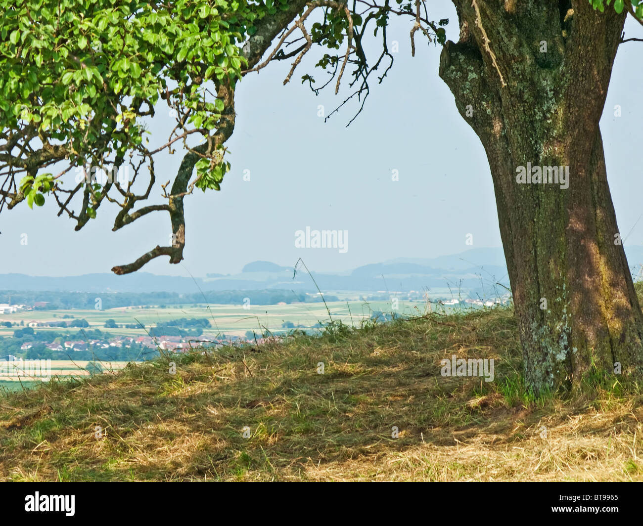 a panoramic view Stock Photo - Alamy