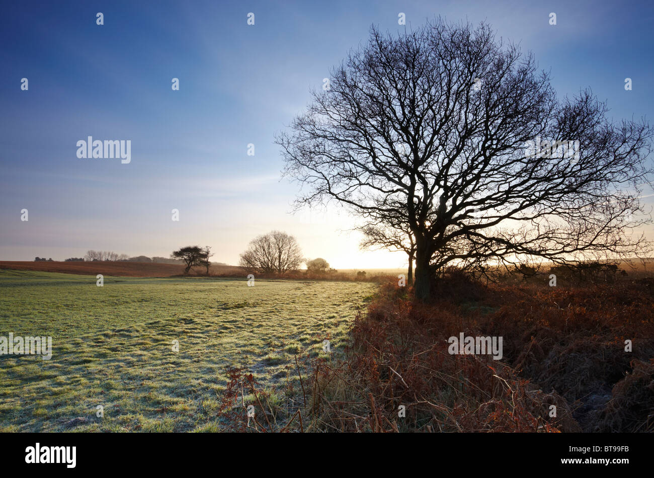 Benacre National Nature Reserve in Suffolk Stock Photo - Alamy