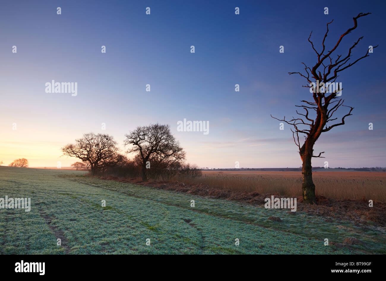 Benacre National Nature Reserve in Suffolk Stock Photo - Alamy