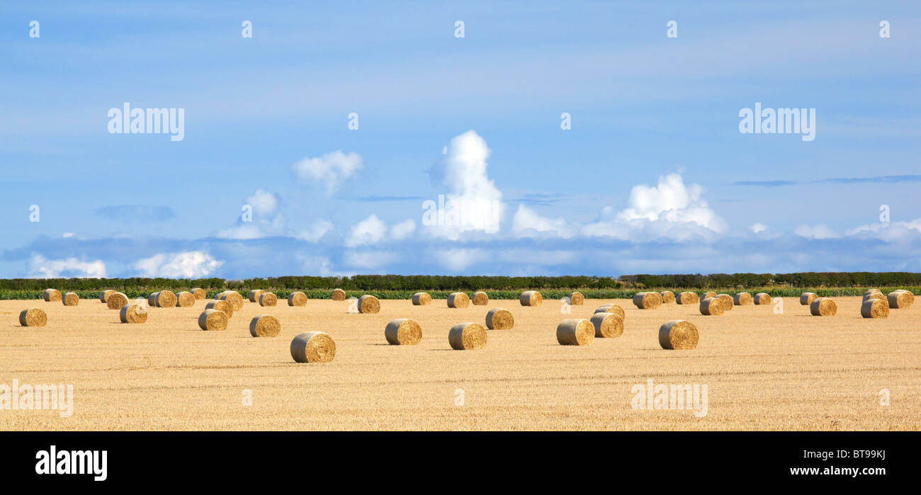 Round bales and cloud formations at Beal near the Holy Island causeway ...