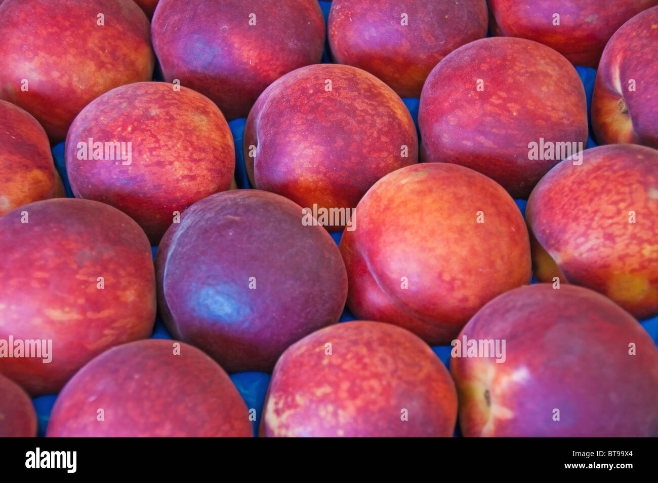 Nectarine fruits hi-res stock photography and images - Alamy