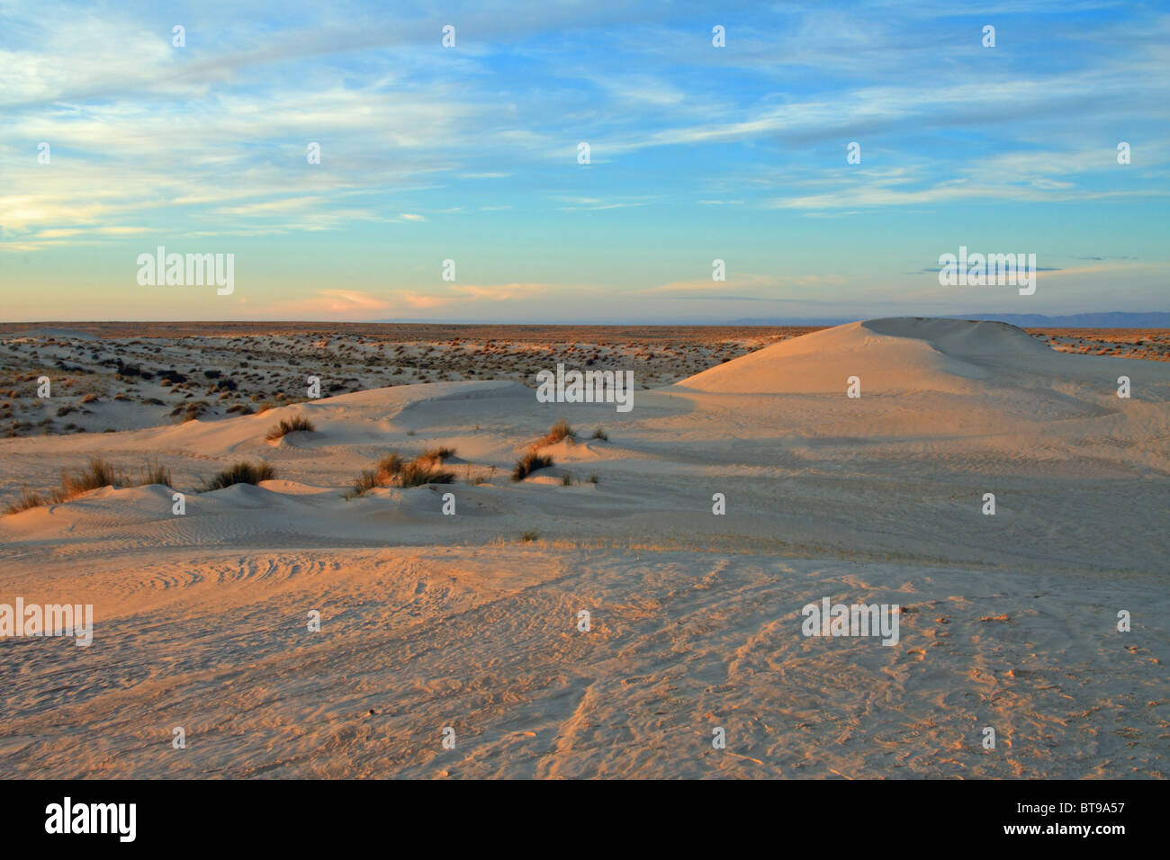 Desertification sahara desert hi-res stock photography and images - Alamy