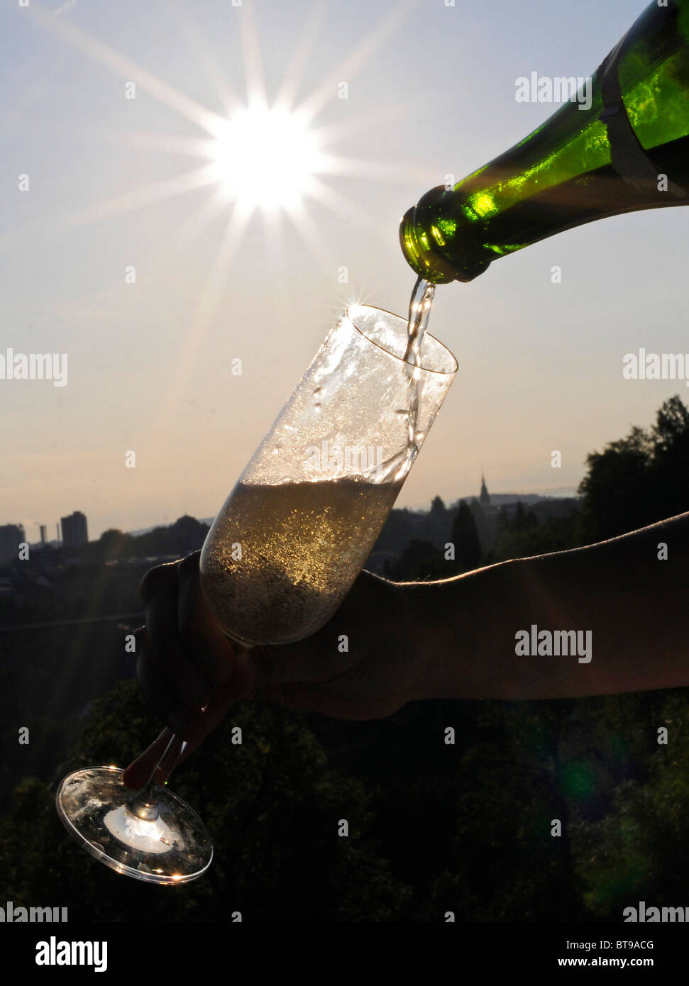 Champagne glass silhouette hi-res stock photography and images - Alamy