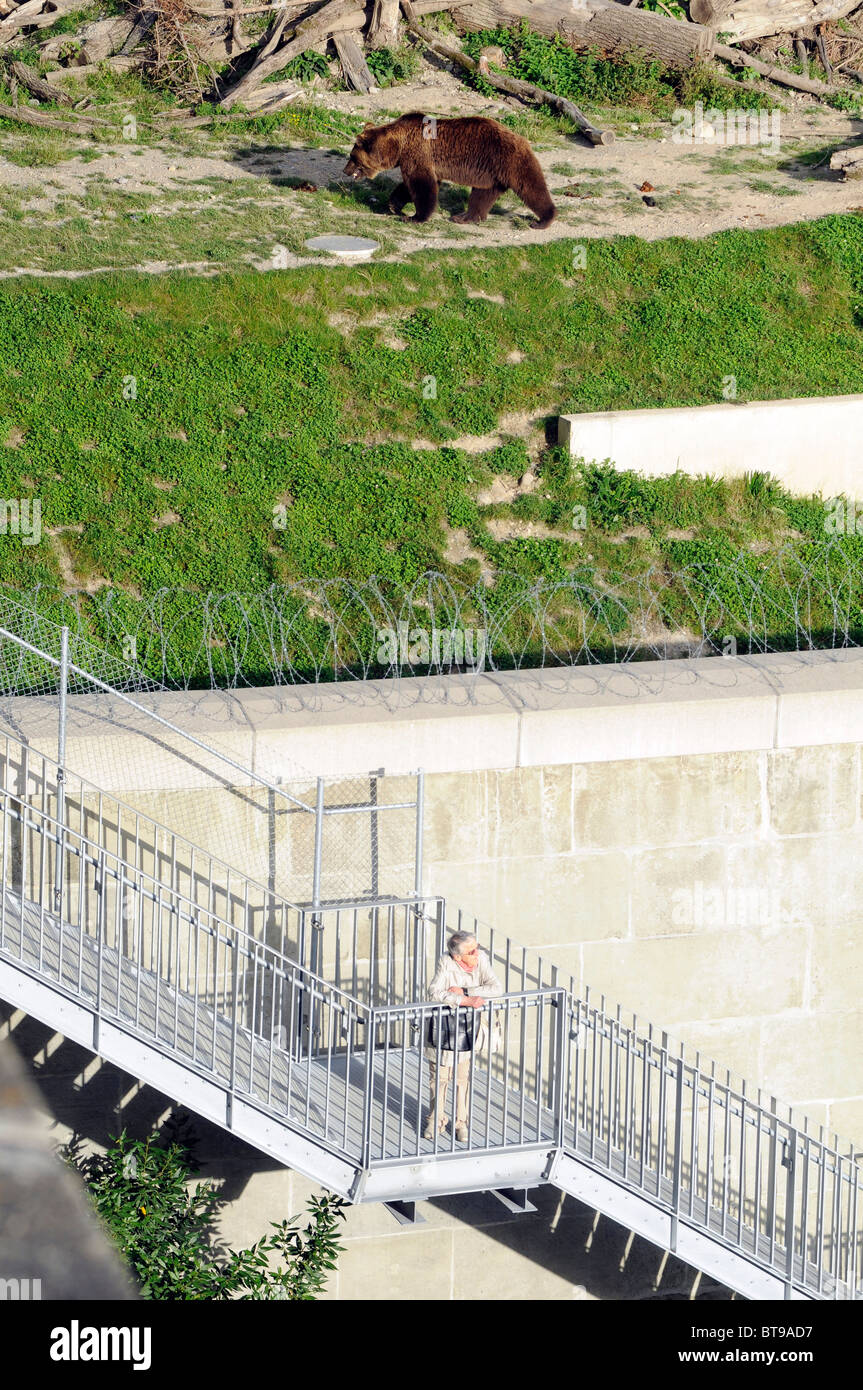 The new Bears' Park in Bern, Switzerland (opened in 2010 Stock Photo ...