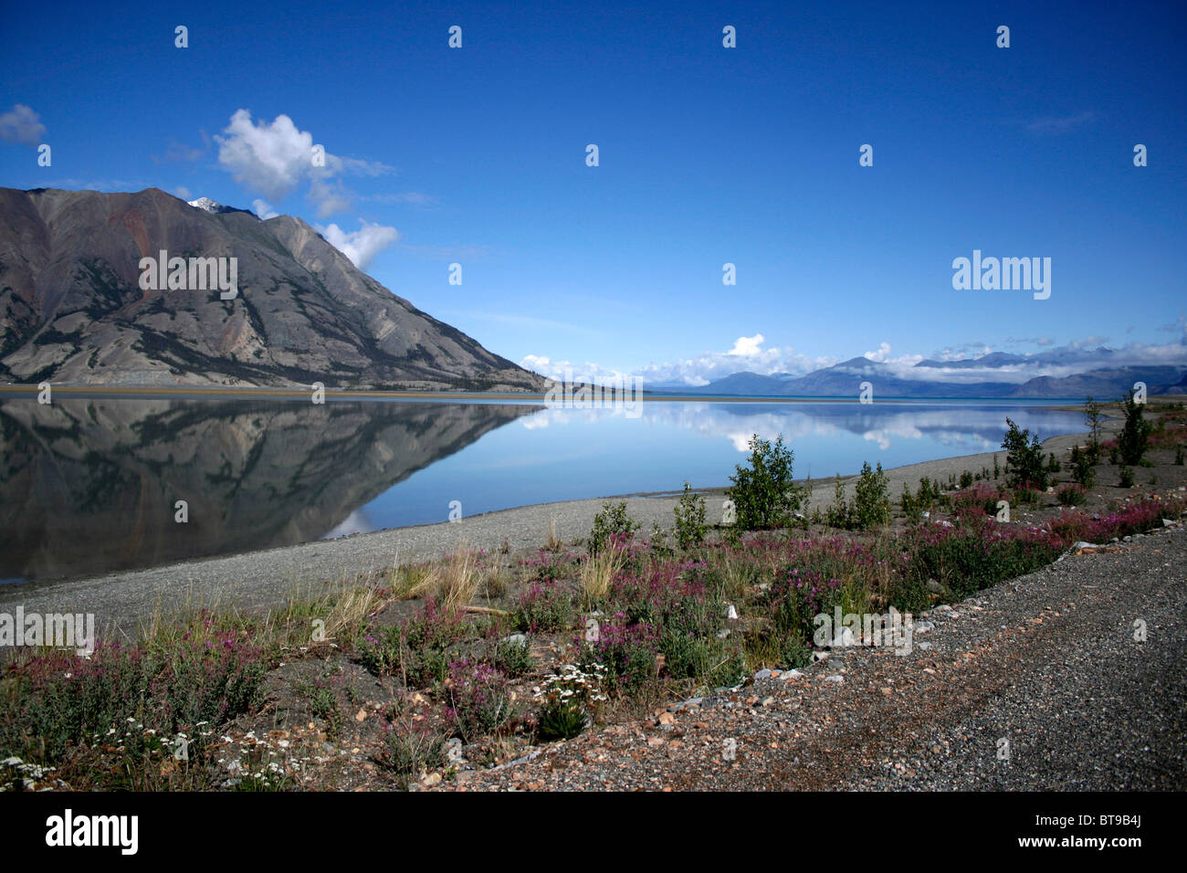 Kluane national park and alaska hi-res stock photography and images - Alamy