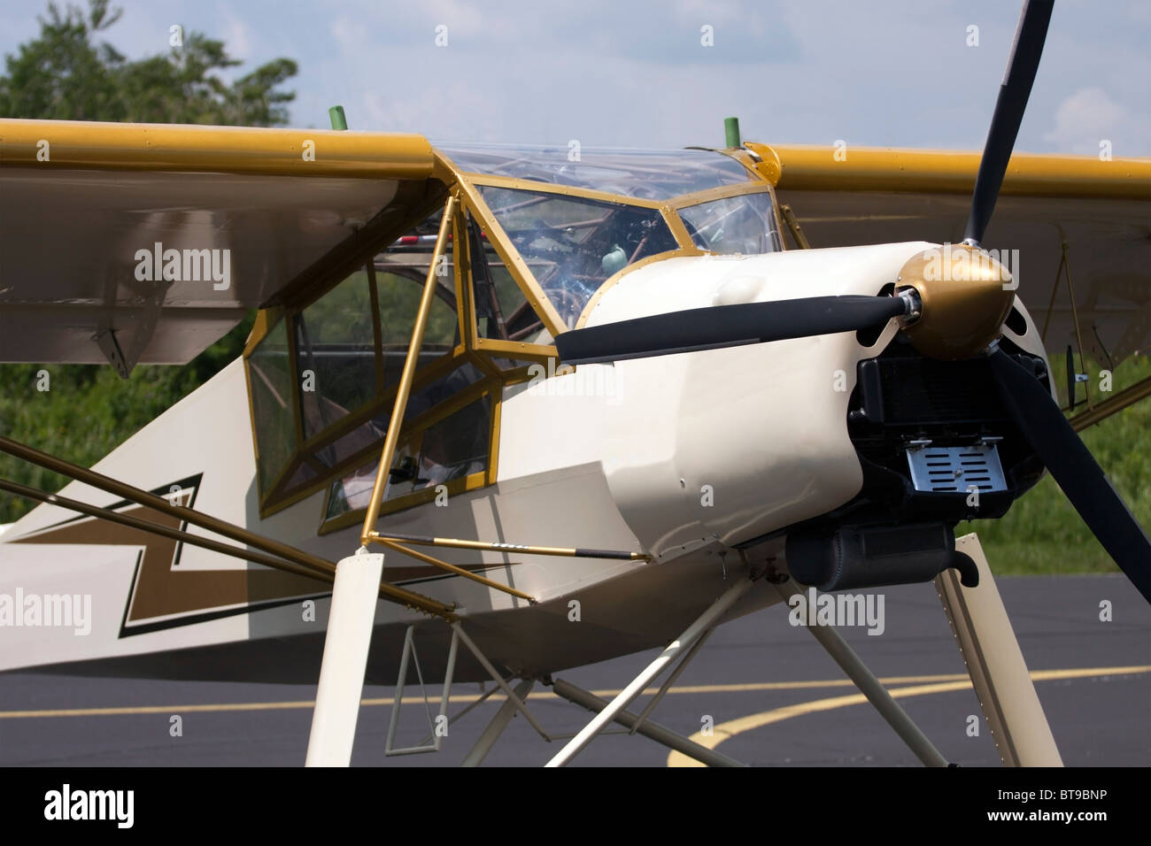 Old German World War 2, recon airplane "Stork Stock Photo - Alamy