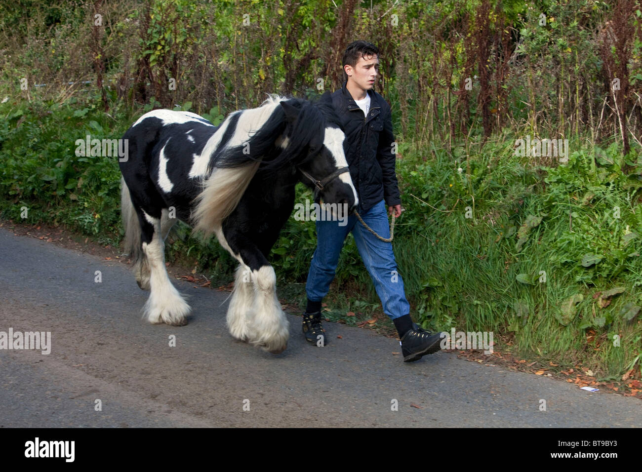 A young gypsy man strides out along the road with his black and white ...