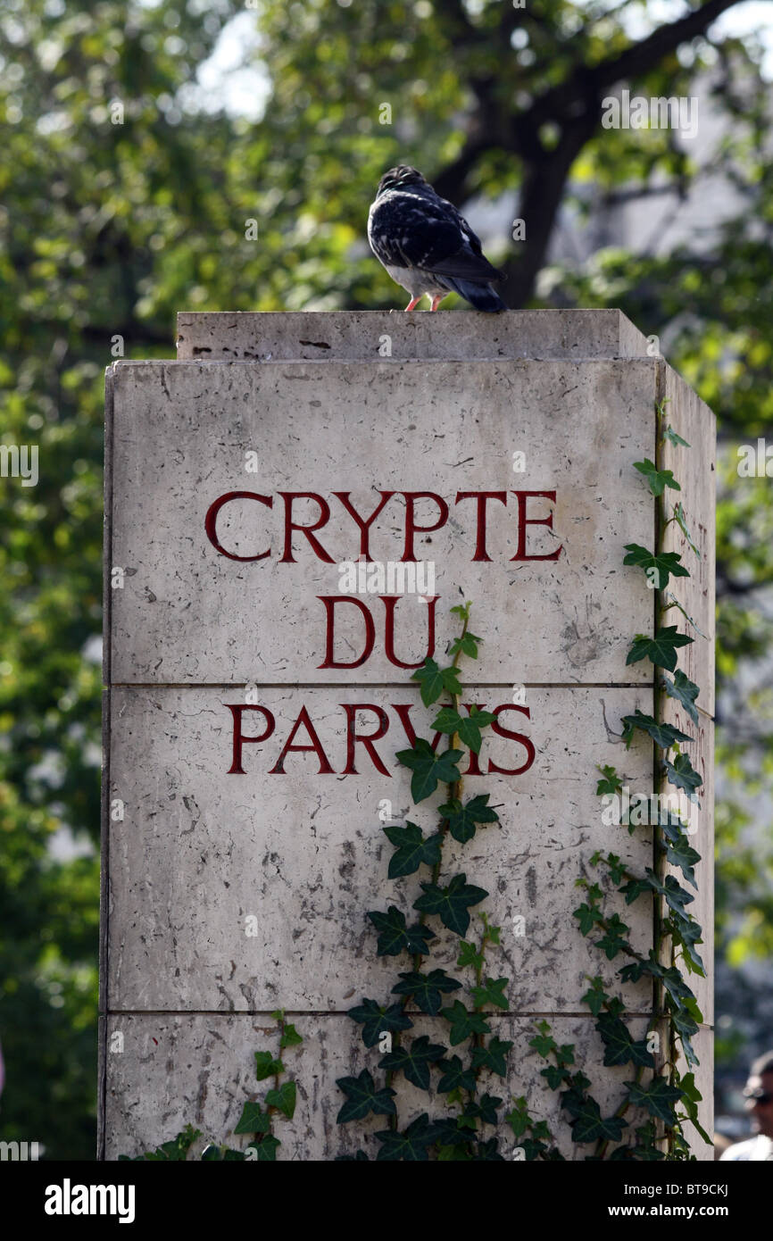 Parvis notre dame paris hi-res stock photography and images - Alamy