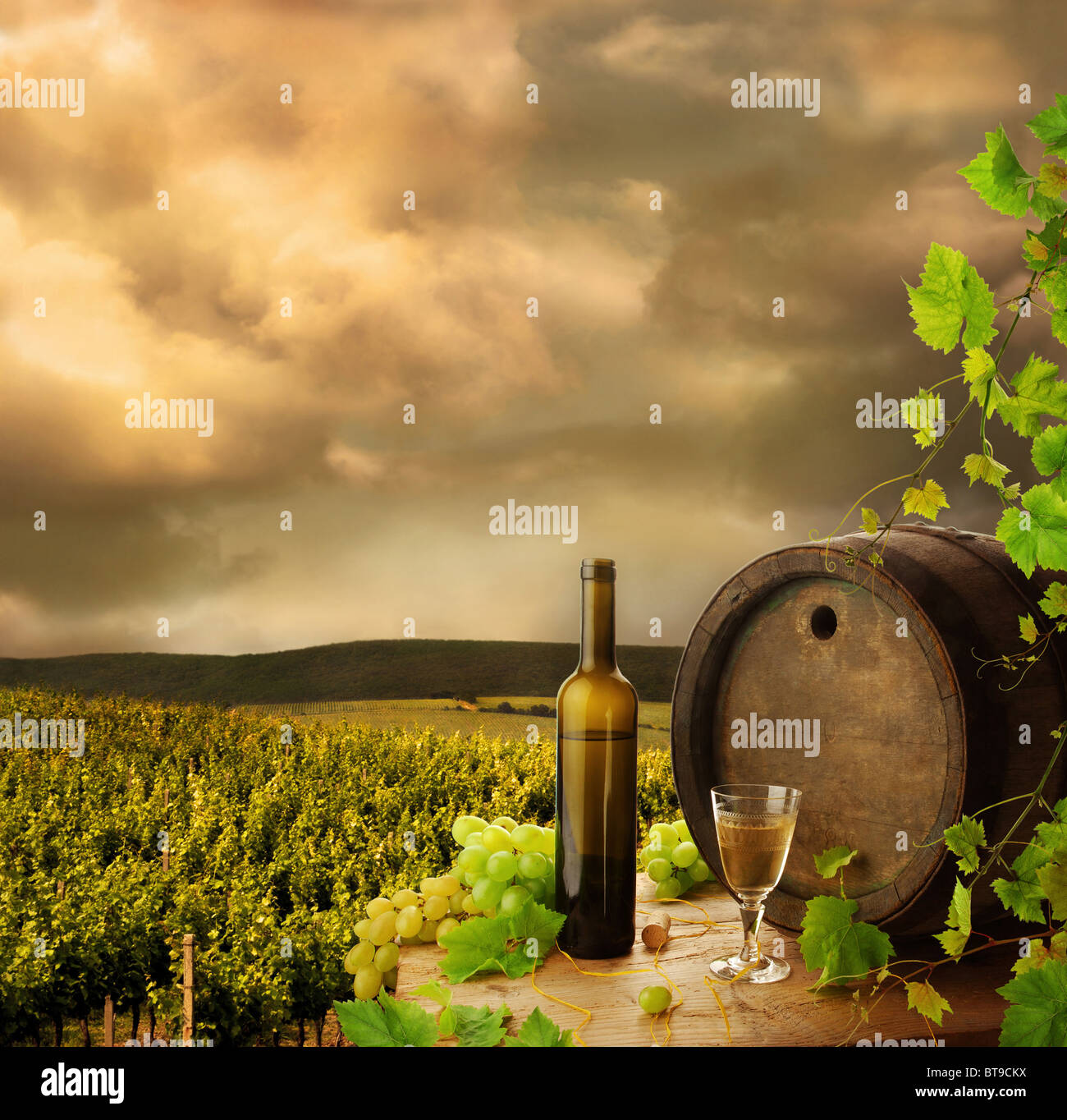 Wine Vat Stock Photos & Wine Vat Stock Images - Alamy