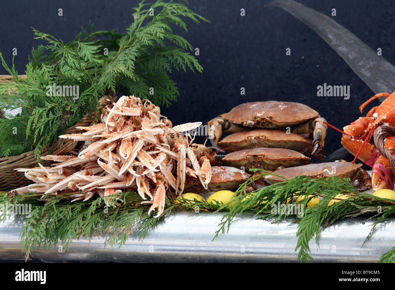 Seafood Stall in Paris France Stock Photo - Alamy