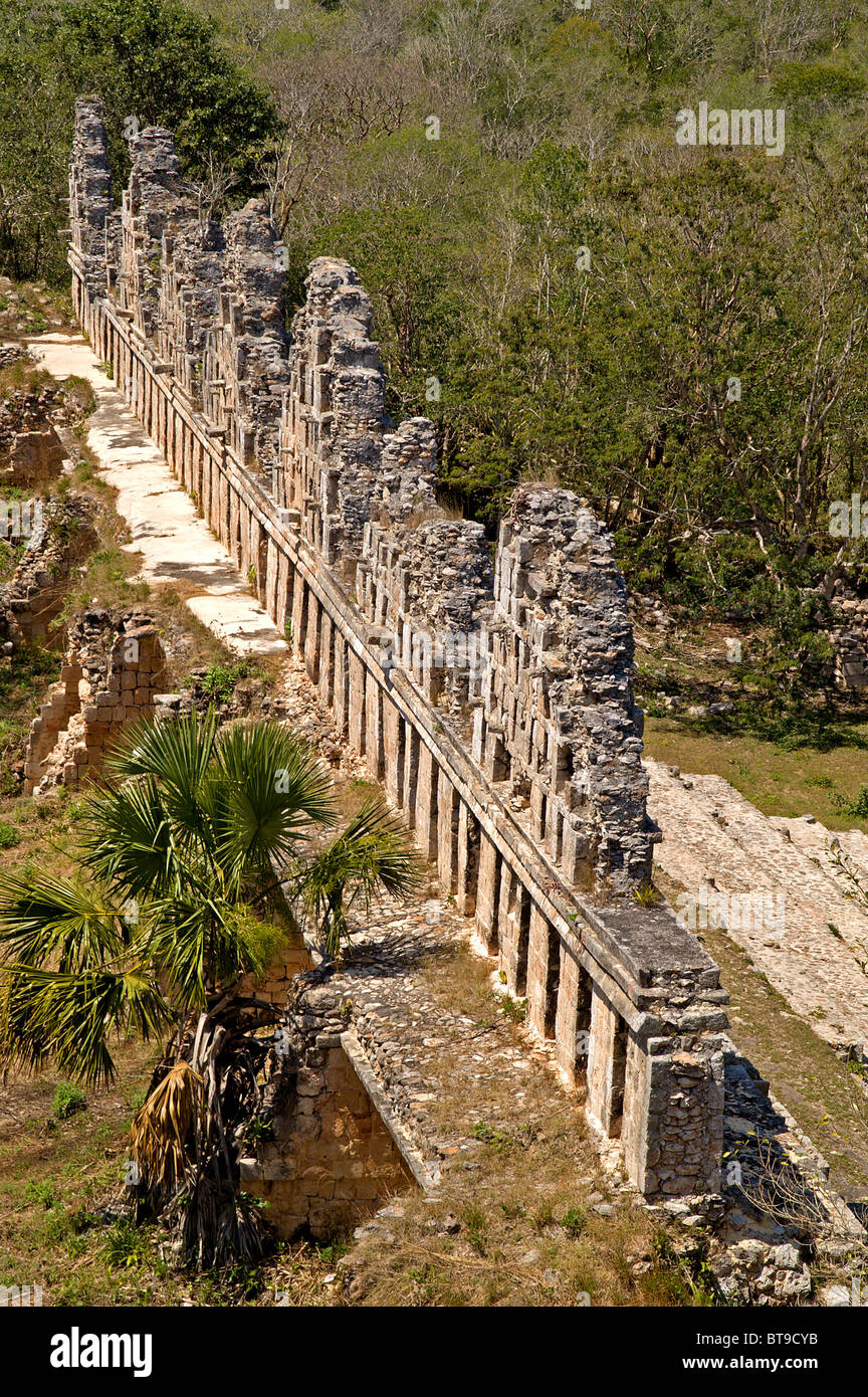 Mayan ruins at the south side of Uxmal, the house of the doves as seen ...