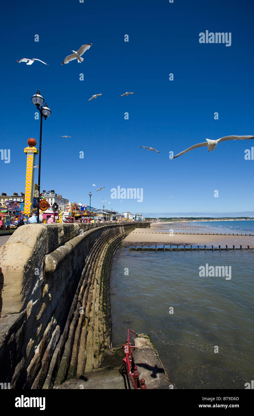 Bridlington beach with seagulls hi-res stock photography and images - Alamy