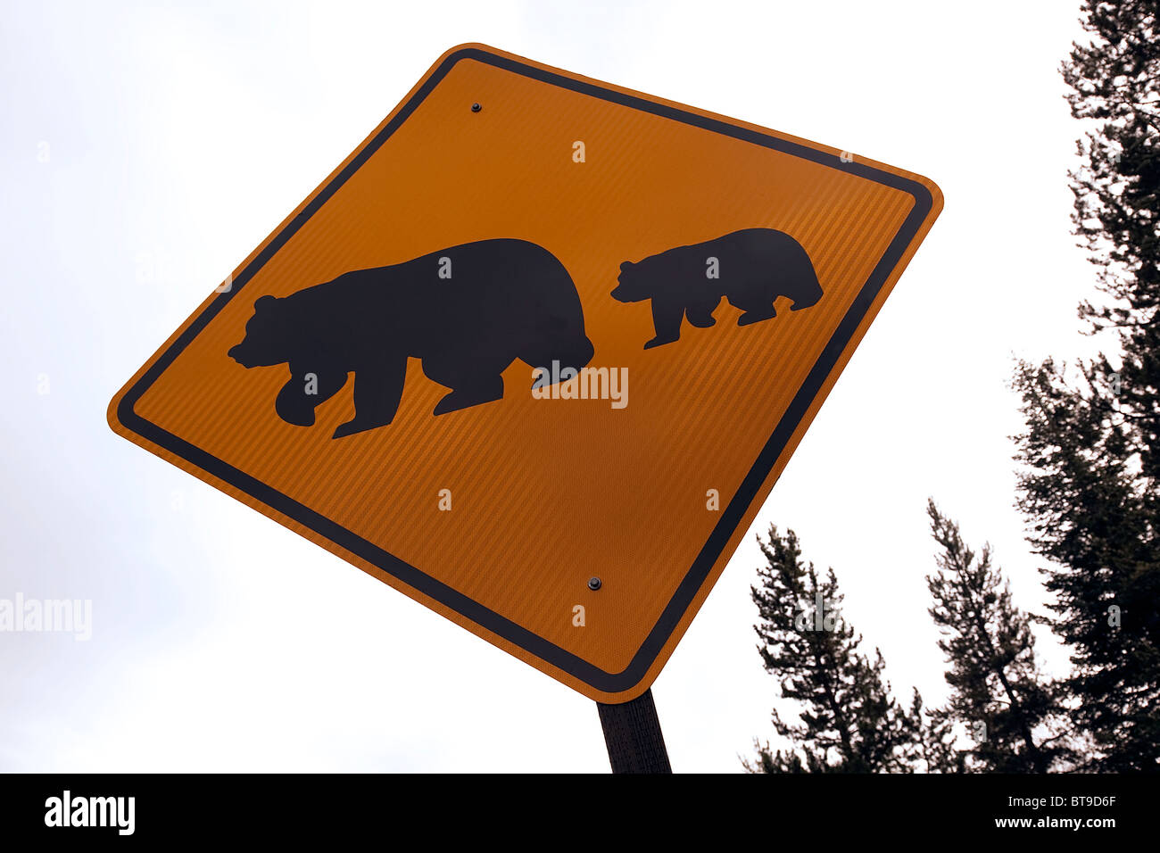 Bear's crossing sign in Tahoe City California USA Stock Photo - Alamy