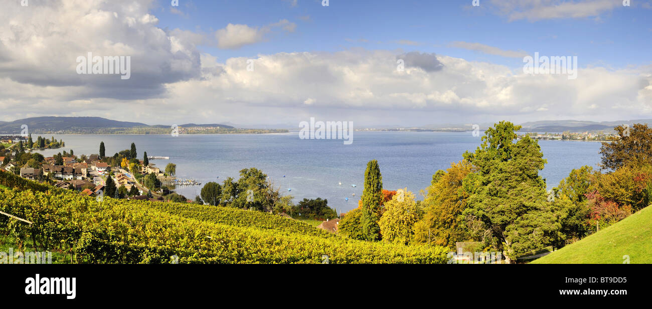 Panoramic view from Arenenberg castle over the vineyards towards ...