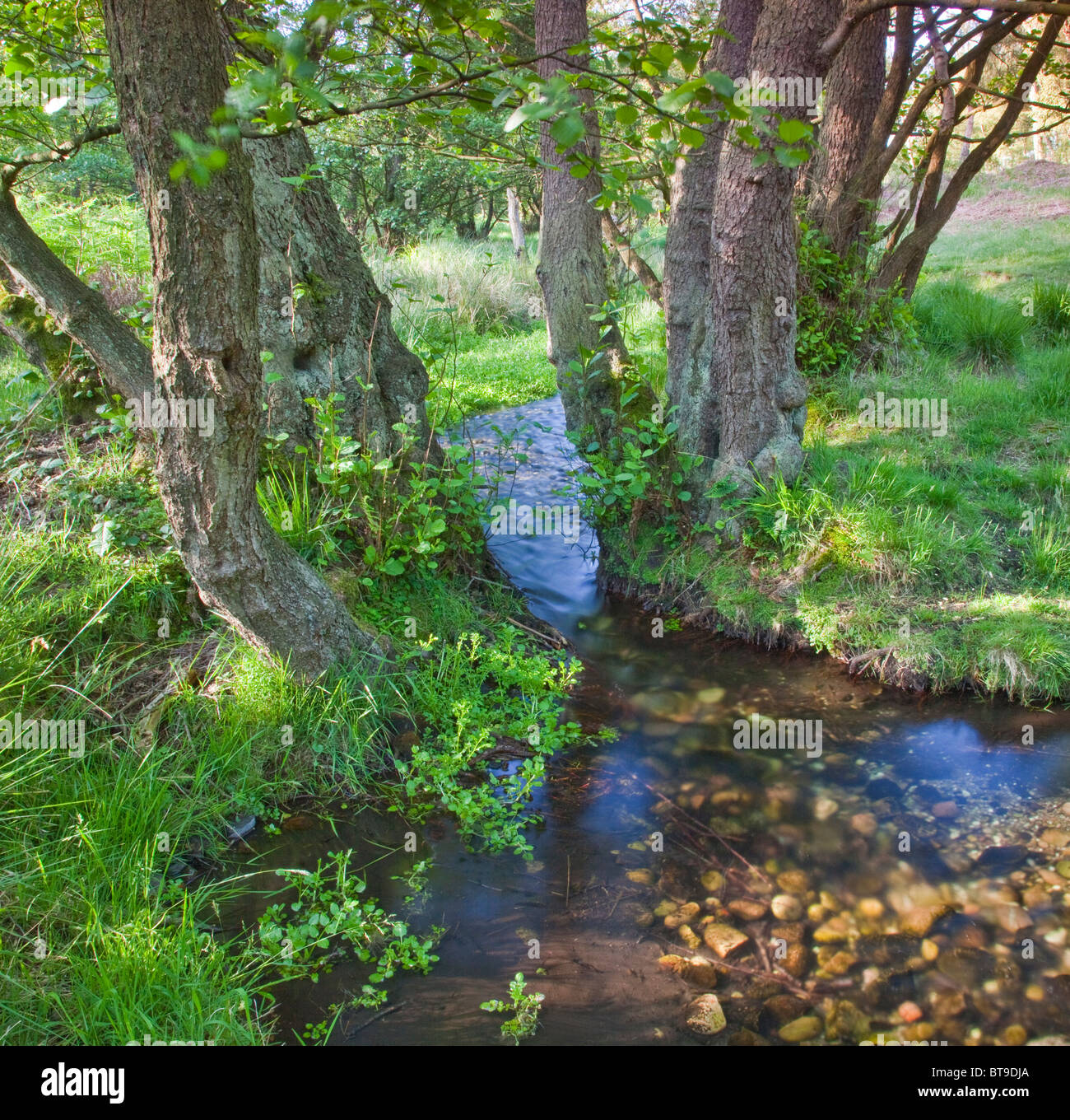 Chase water country park hi-res stock photography and images - Alamy