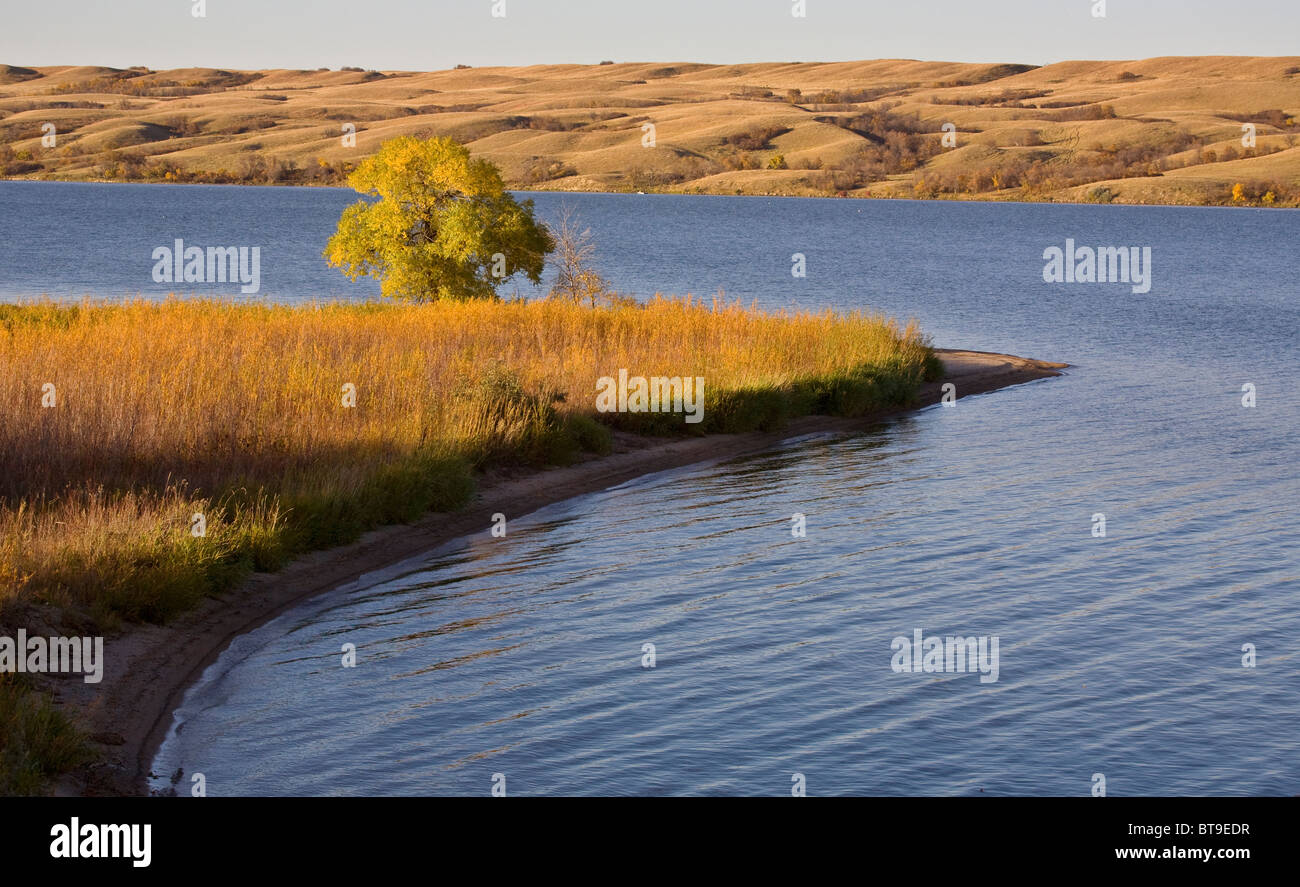 Buffalo pound park hi-res stock photography and images - Alamy