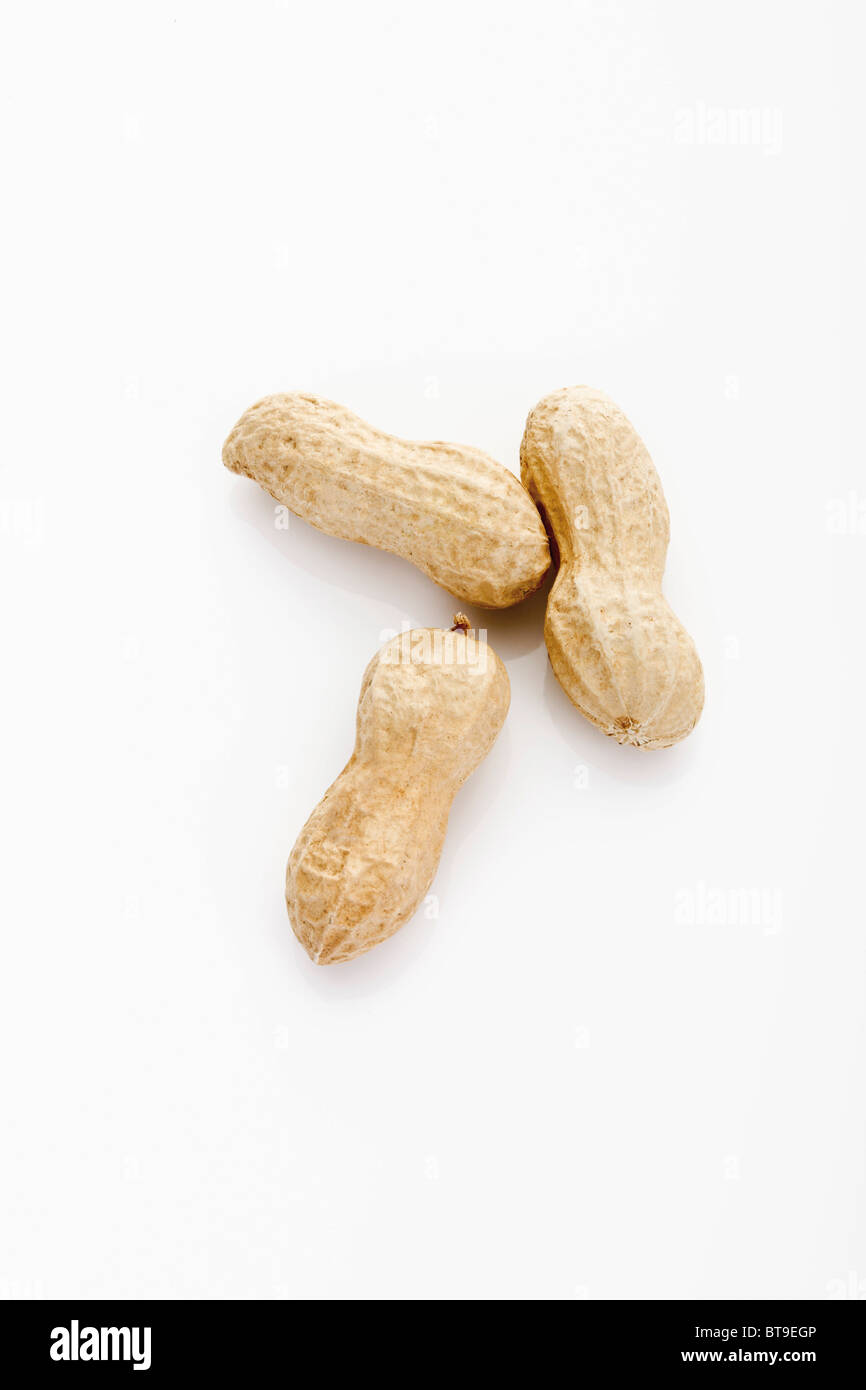 Leguminosae Three High Resolution Stock Photography and Images - Alamy