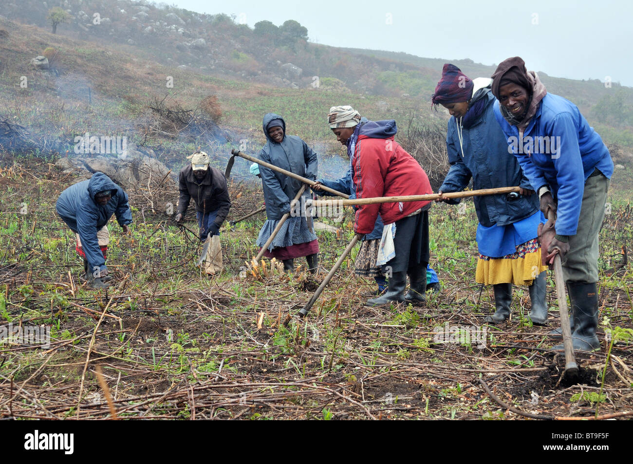 Ciskei landscape hi-res stock photography and images - Alamy