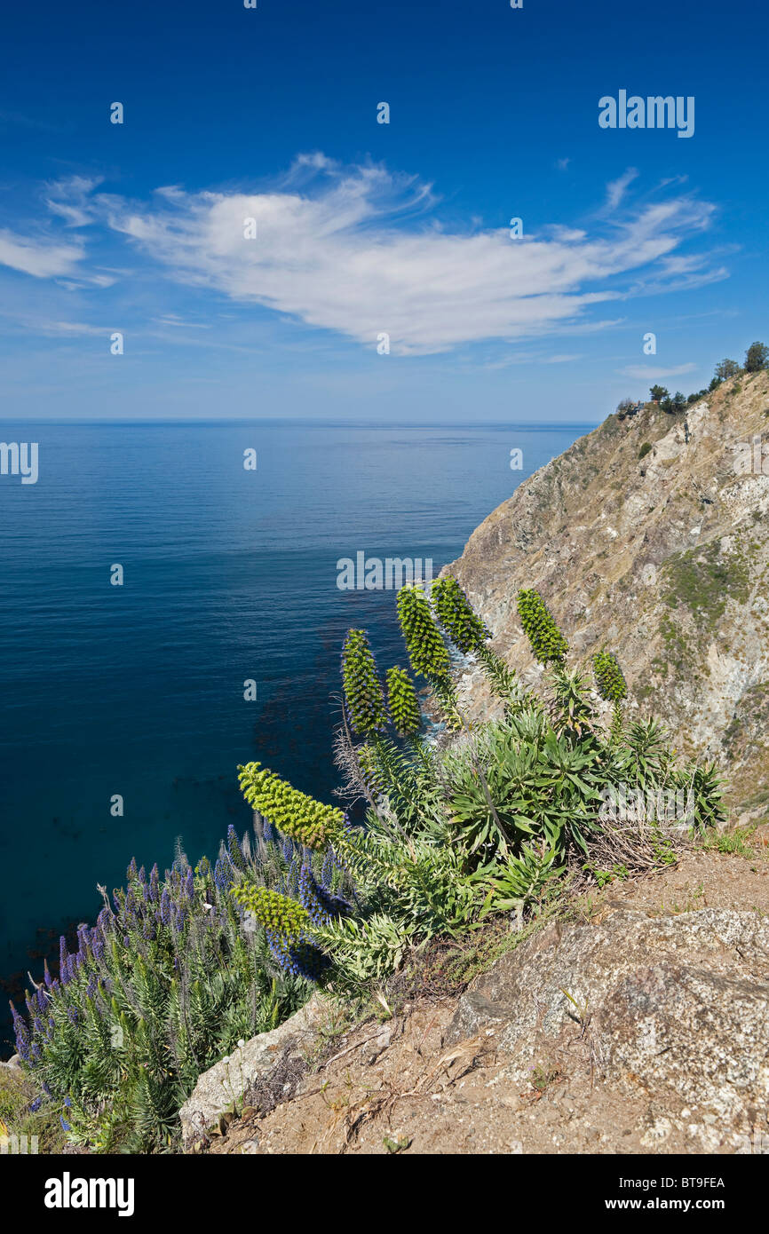 Cliff highway hi-res stock photography and images - Alamy