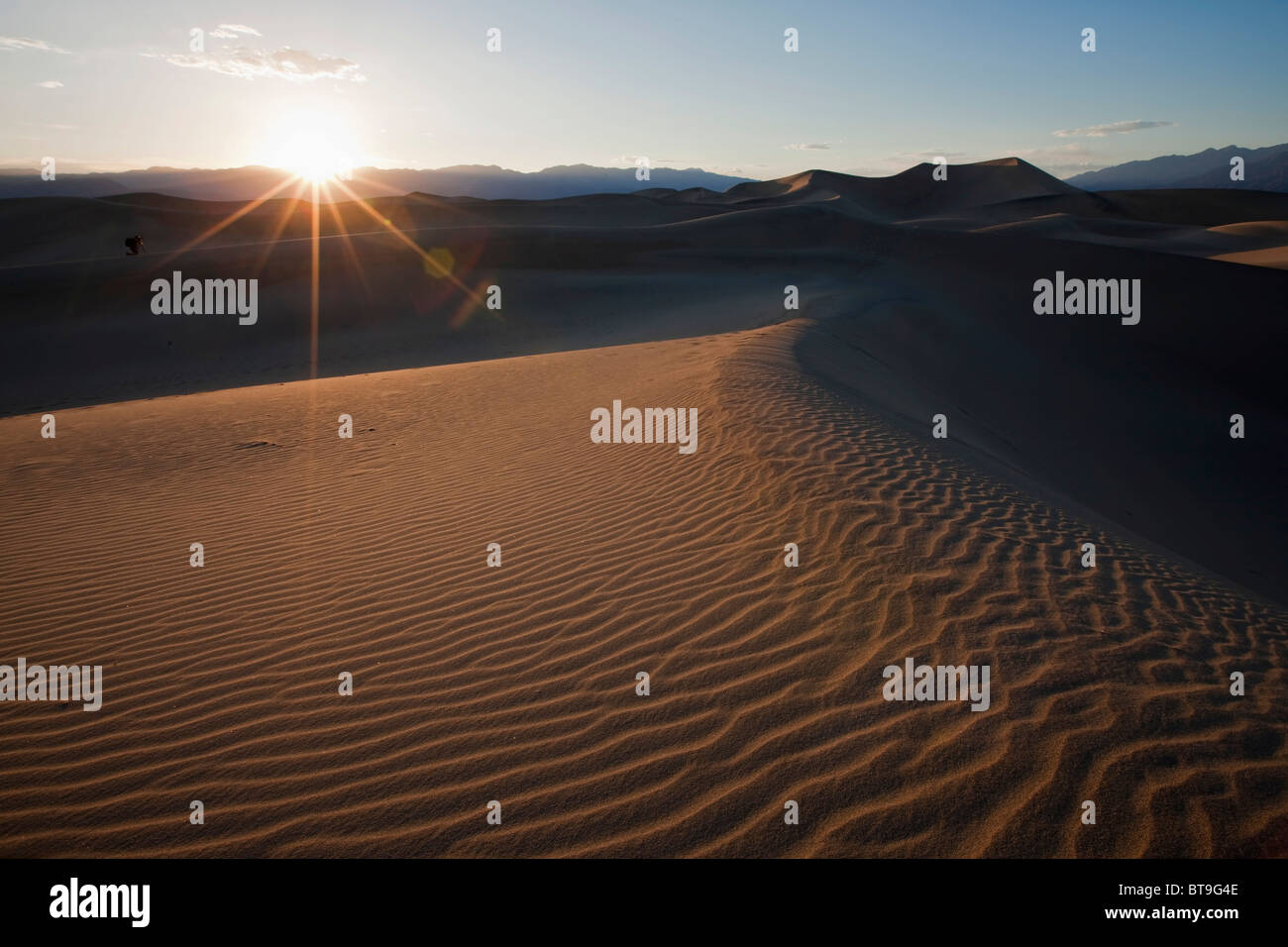 Mesquite Sand Dunes Death Valley National Park Mojave Desert