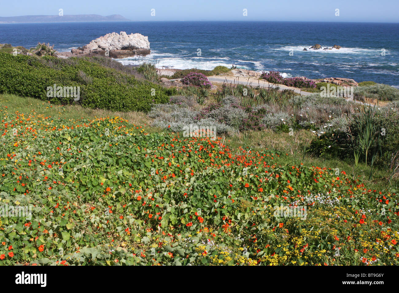 South Africa, Indian ocean, eastern coast, cape origin, Hermanus, waves ...