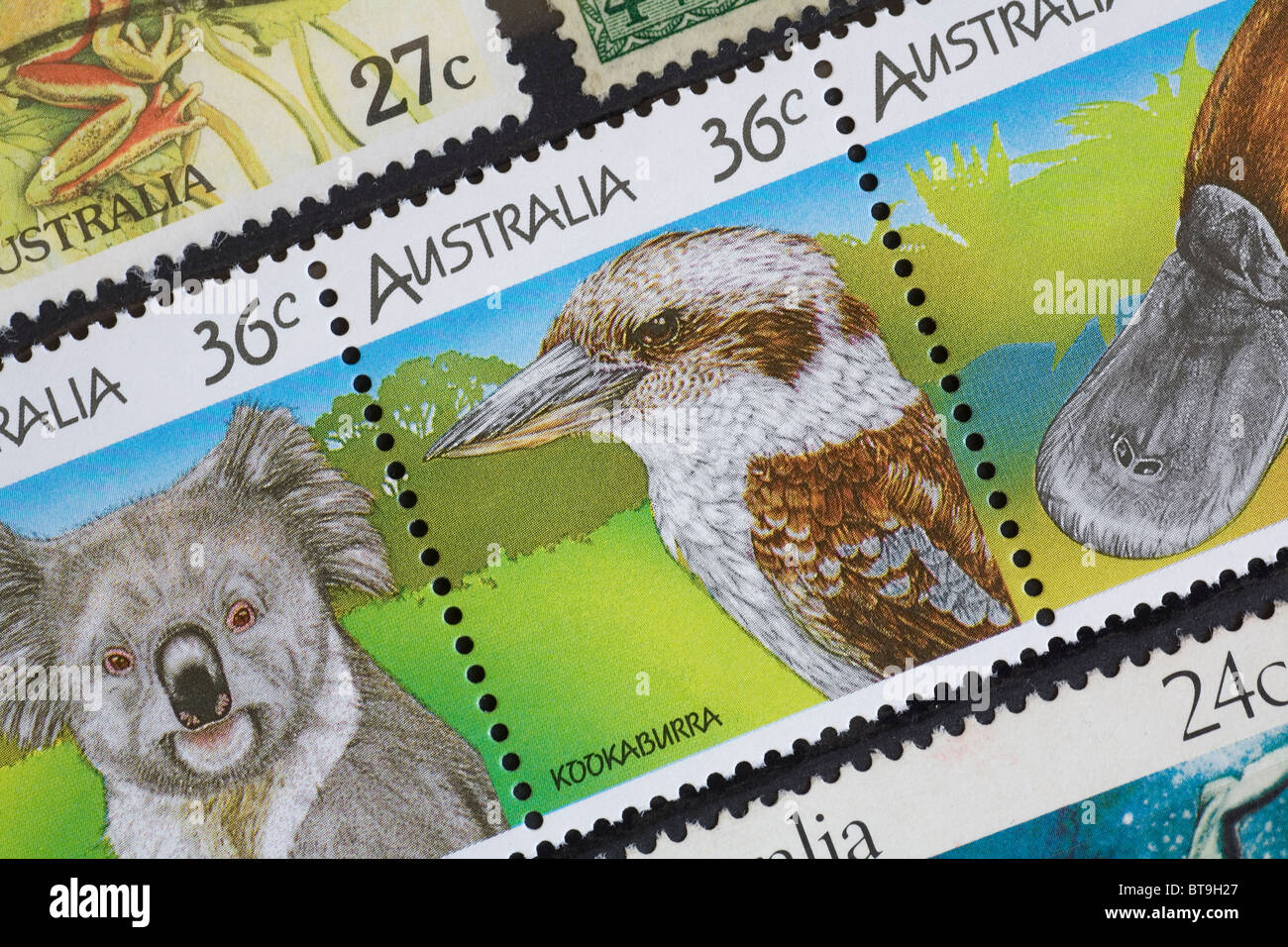 Australian postage stamps showing Australian animals, with focus on ...