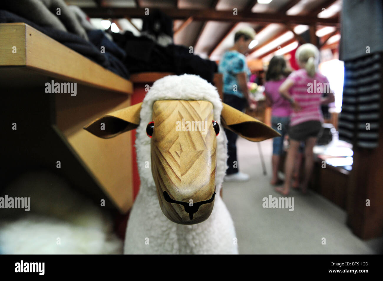 Sheep Export High Resolution Stock Photography and Images - Alamy