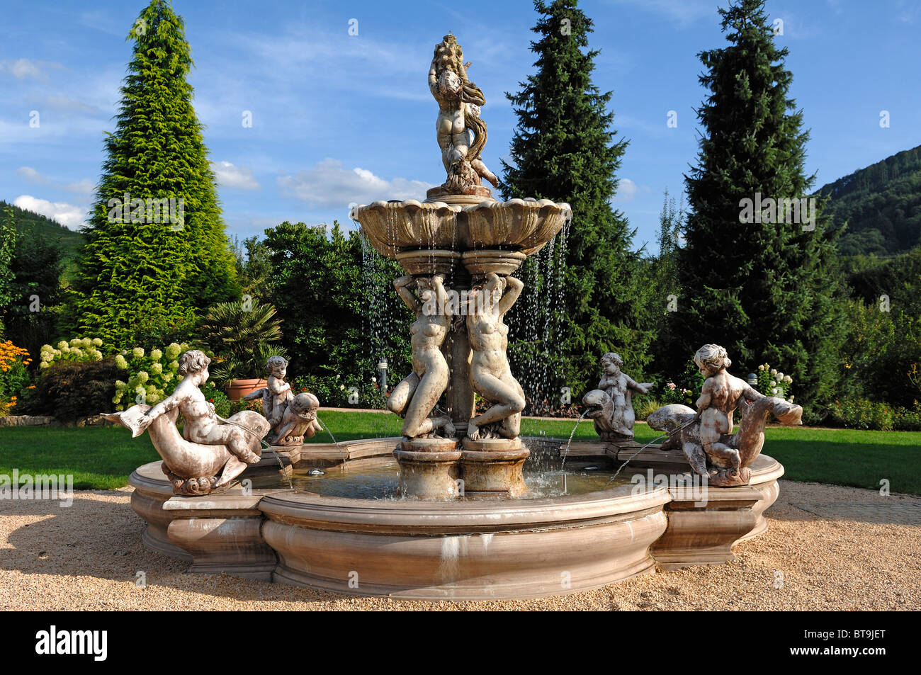 Rebstock Stock Photos & Rebstock Stock Images - Alamy