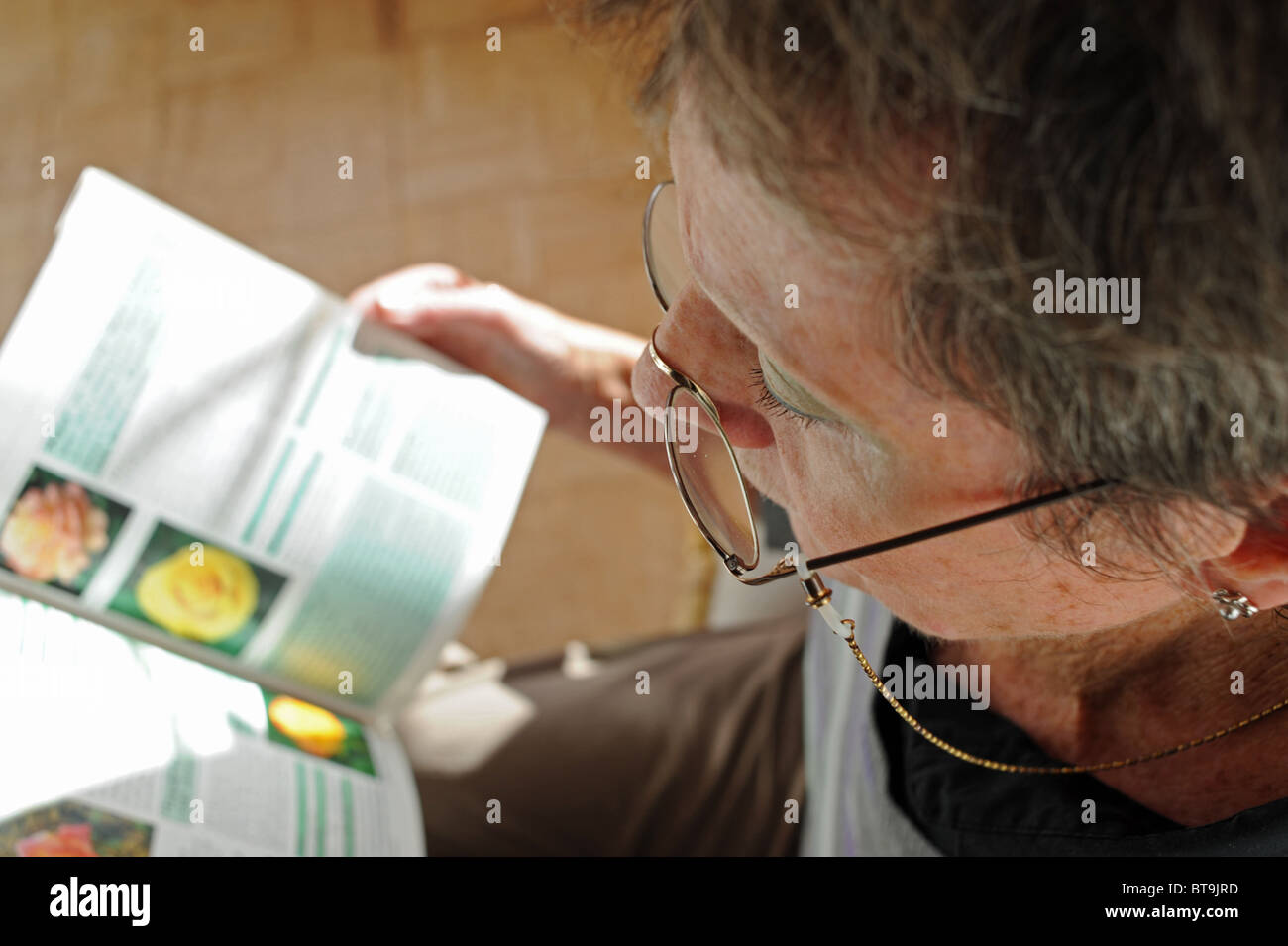 Woman using wearing reading glasses Stock Photo - Alamy