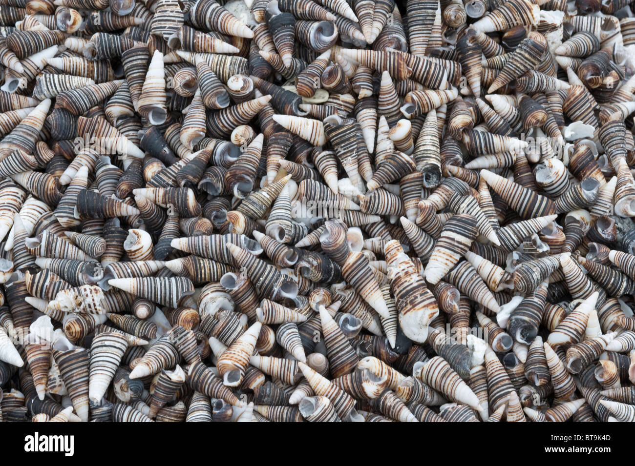 Conglomeration hi-res stock photography and images - Alamy
