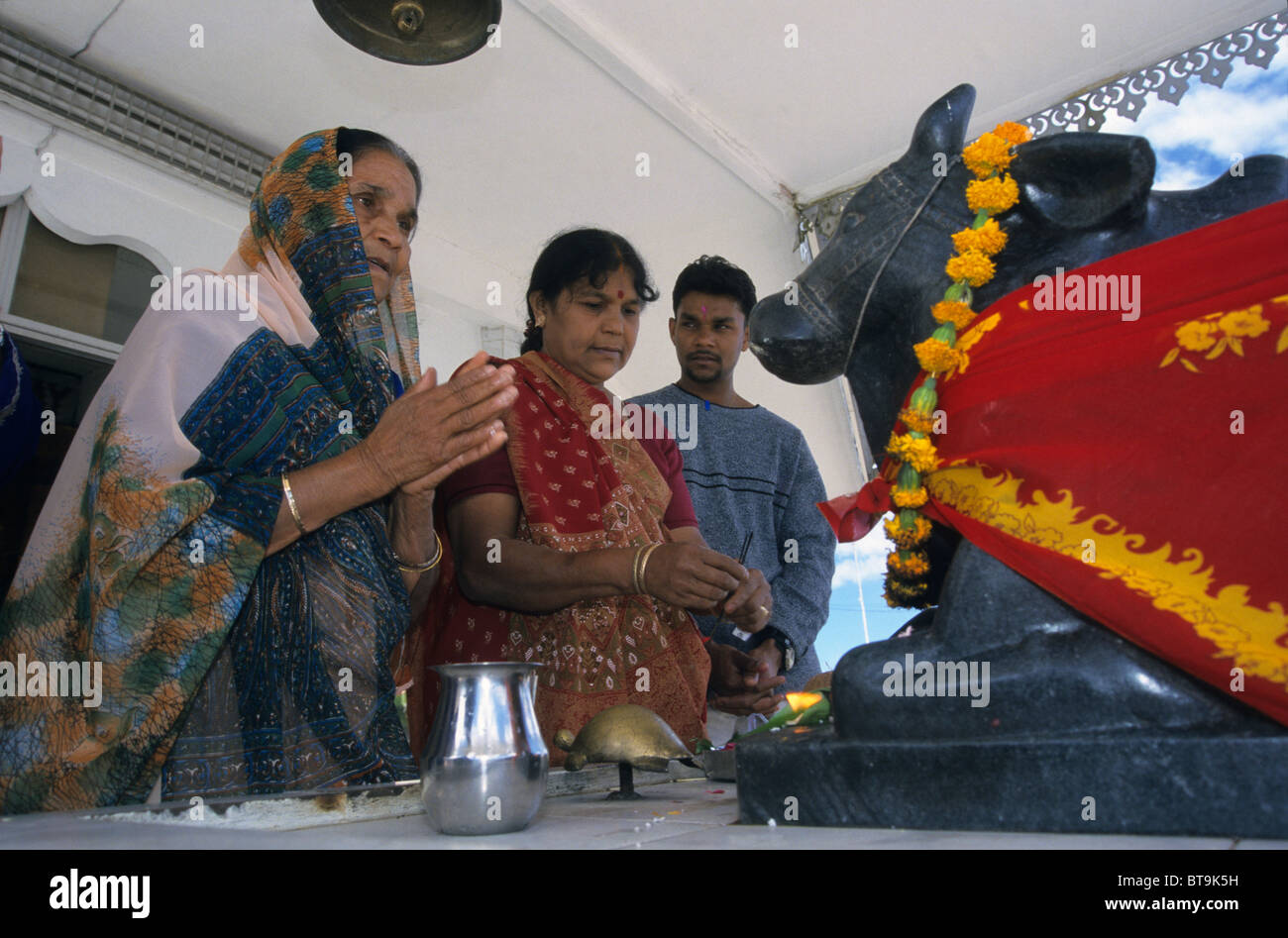 Mauritian family offering at sacred bull Nandi in hindu temple, Crater ...