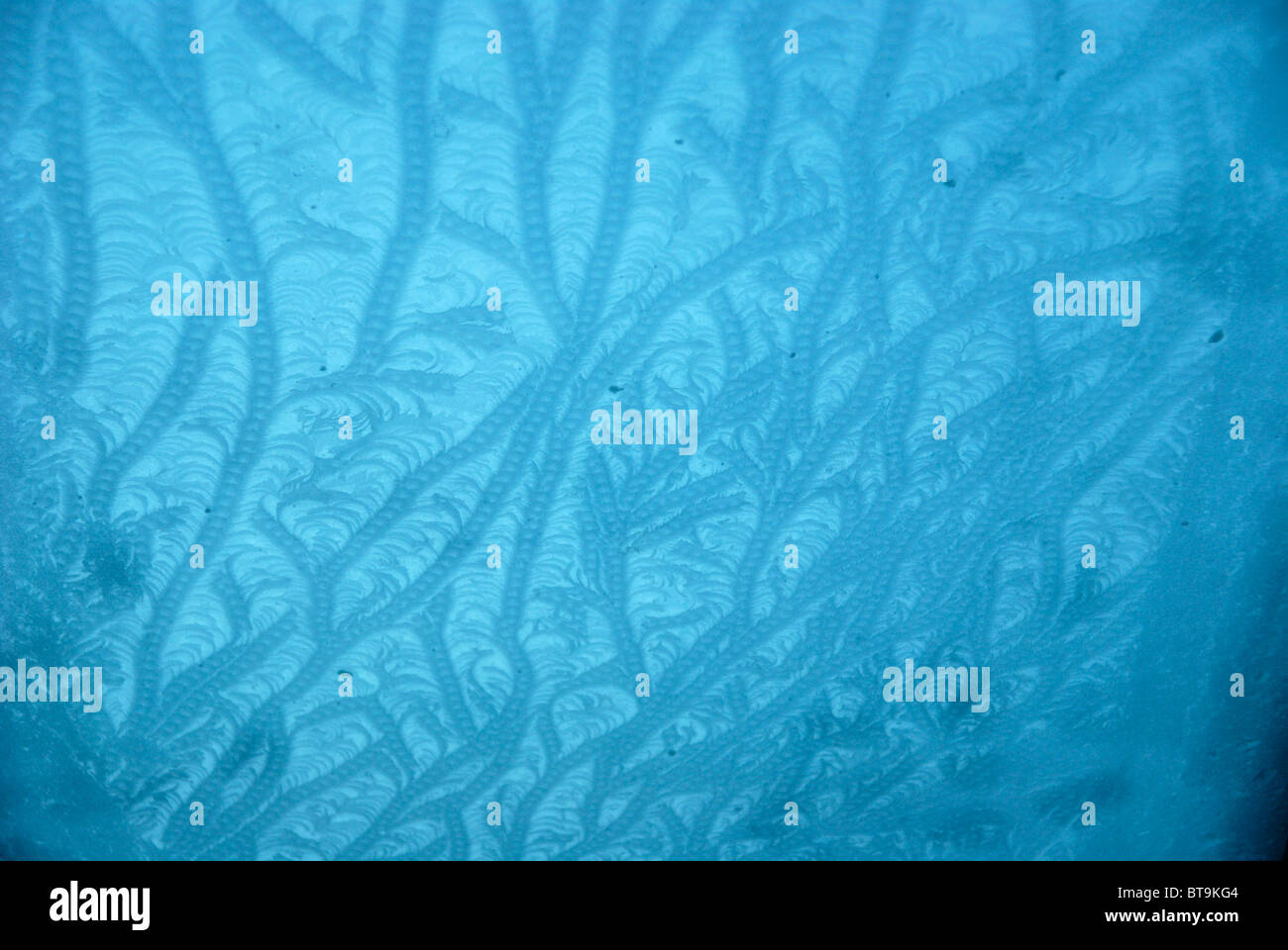 Frost patterns on a conservatory roof Stock Photo - Alamy