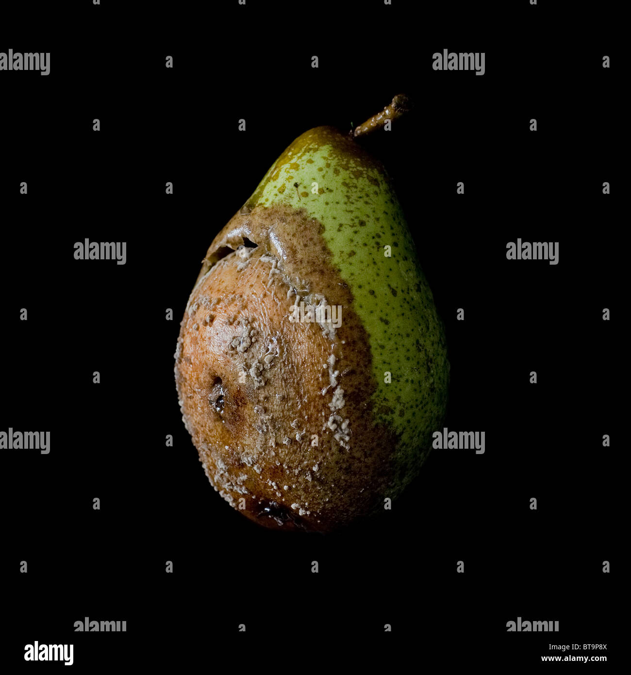 Fruit rotting rot mould mouldy hi-res stock photography and images - Alamy