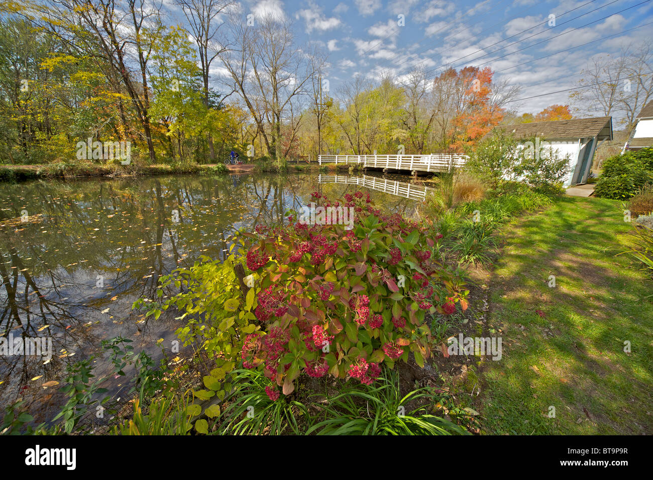 Delaware canal state park foliage hi-res stock photography and images ...