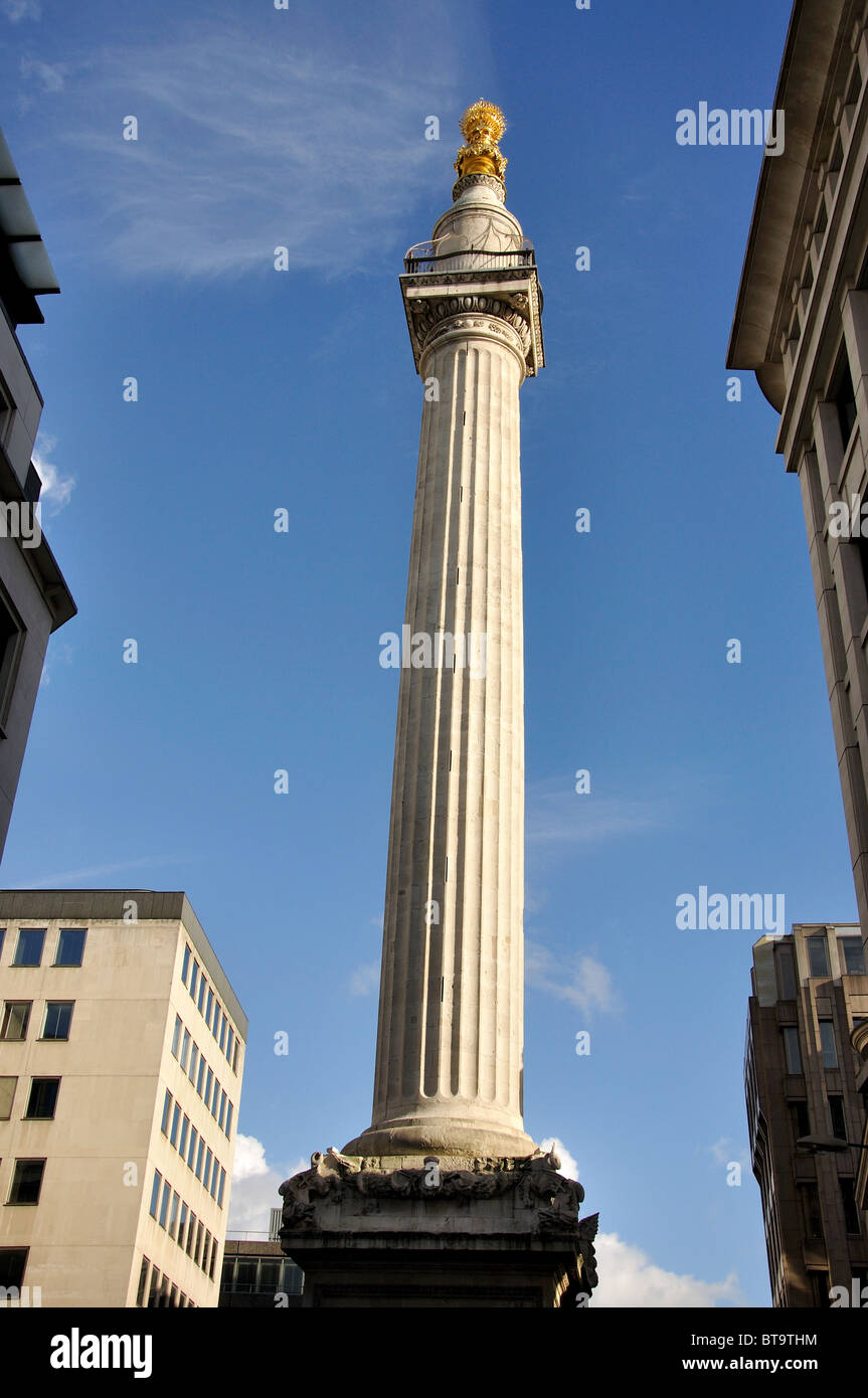 The Monument Tower, Monument Street, City of London, Greater London ...