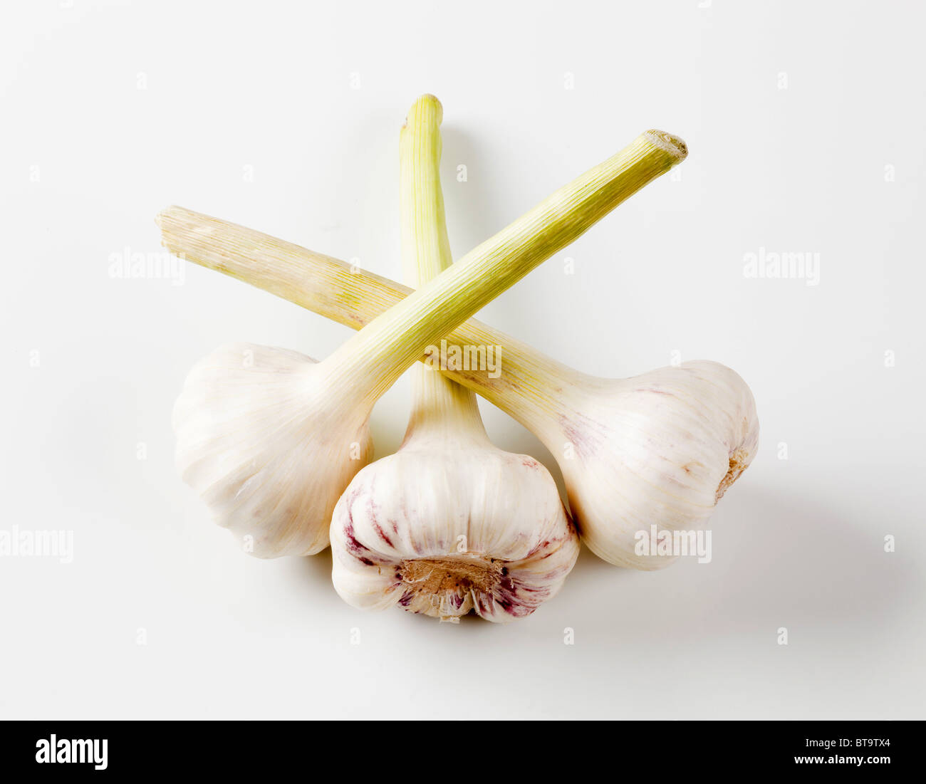 Three fresh garlic bulbs Stock Photo - Alamy