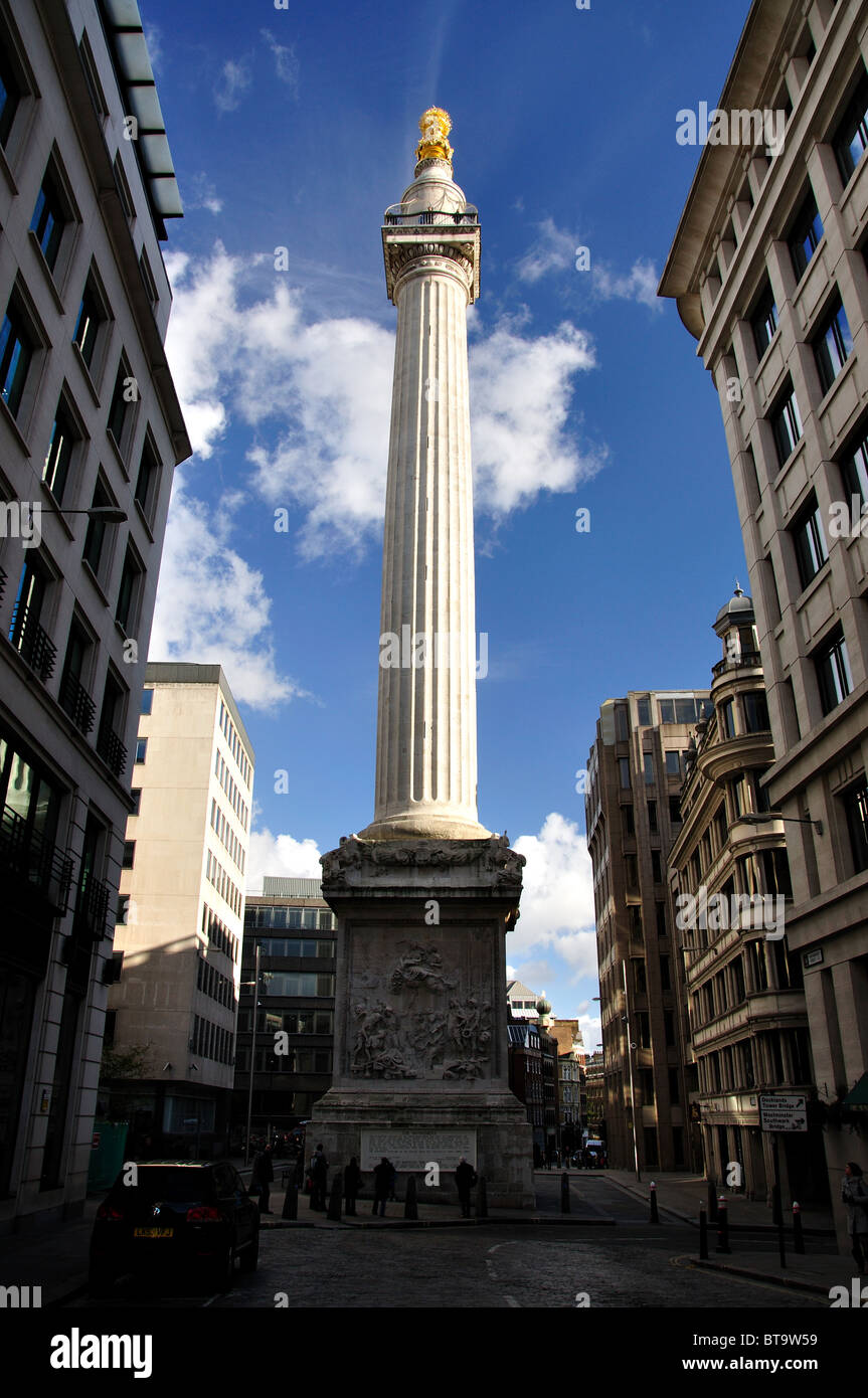 The Monument Tower, Monument Street, City of London, Greater London ...