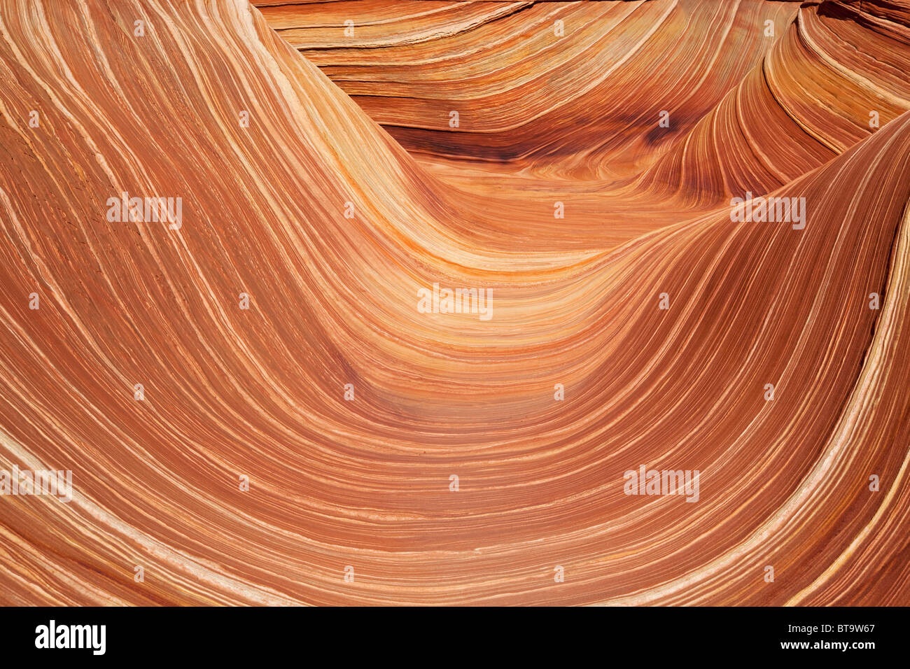The Wave, rock formation in Coyote Buttes North, Paria Canyon-Vermilion ...